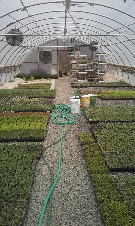 Custom Grow – Rail Fence Farm